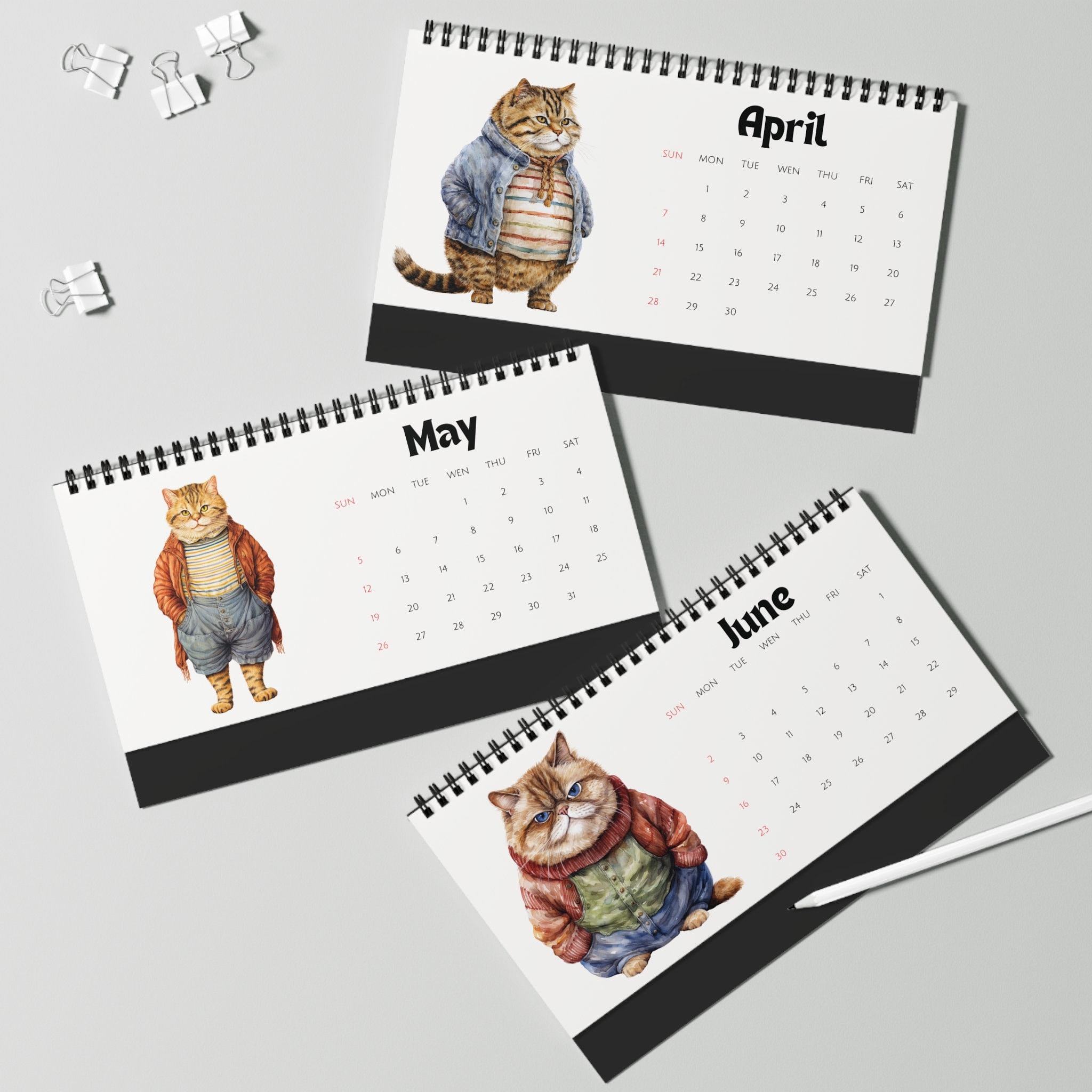 2024 Fat Cat in Sweater Desk Calendar, Angry Cat Calendar sold by ...
