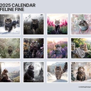 2025 Cat Calendar 2025 Funny Illustrated Cat Wall Calendar Cute Cat ...