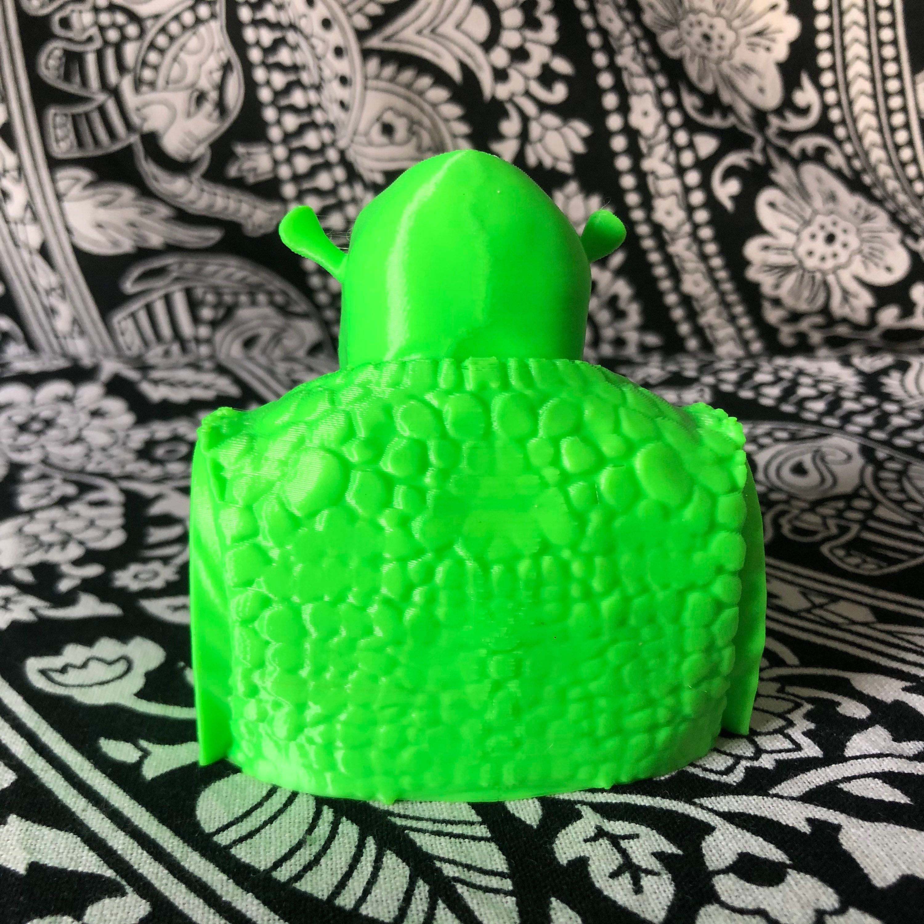 The Shrock Dwayne the Rock Johnson Shrek Crossover Bust Tiktok Toy ...