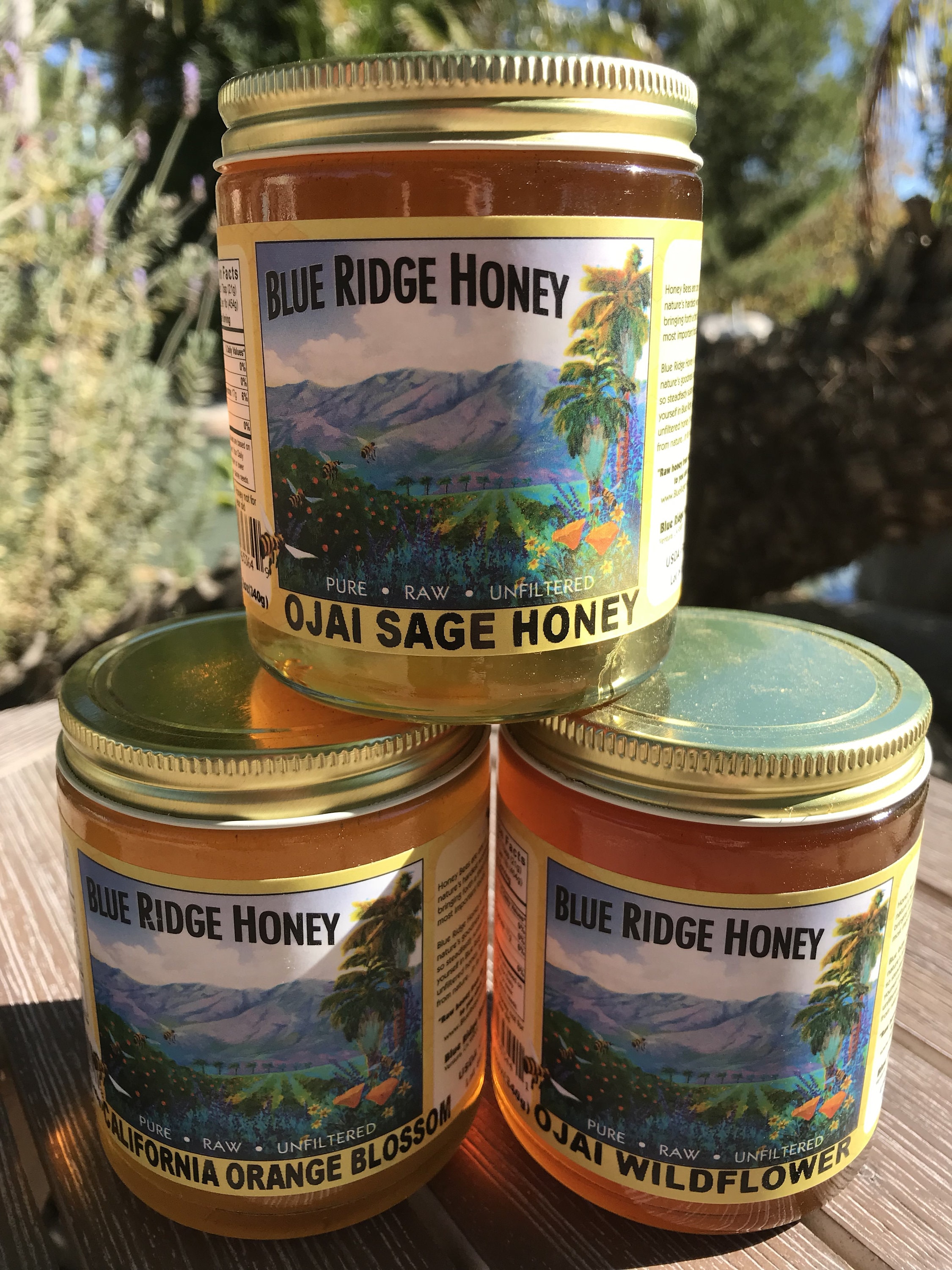 Raw Honey From California Orchards Pure Unfiltered California Honey in Glass Jar Sage ...