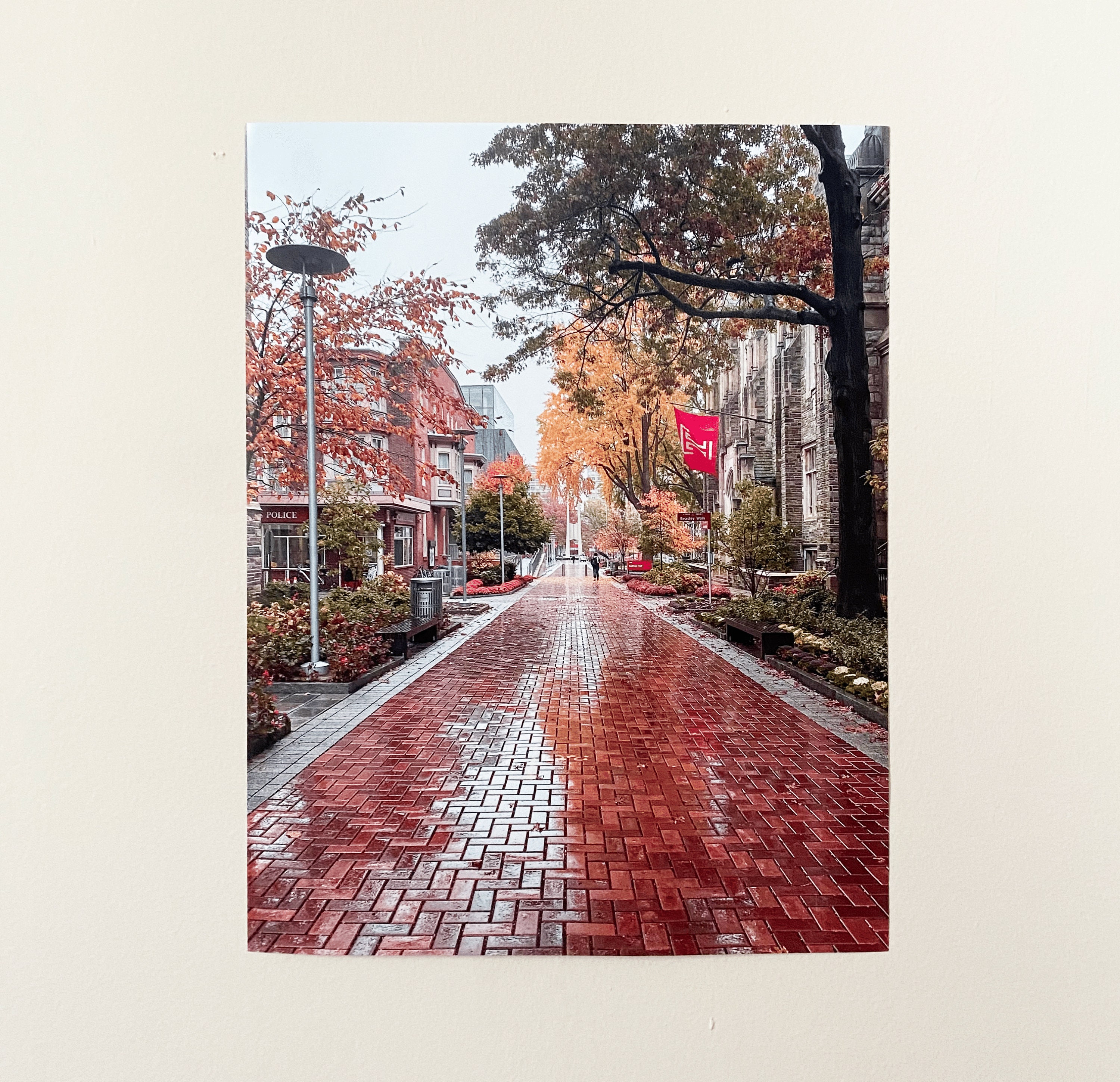 Temple University Wall Print, Polett Walk Autumn Poster, Philadelphia ...