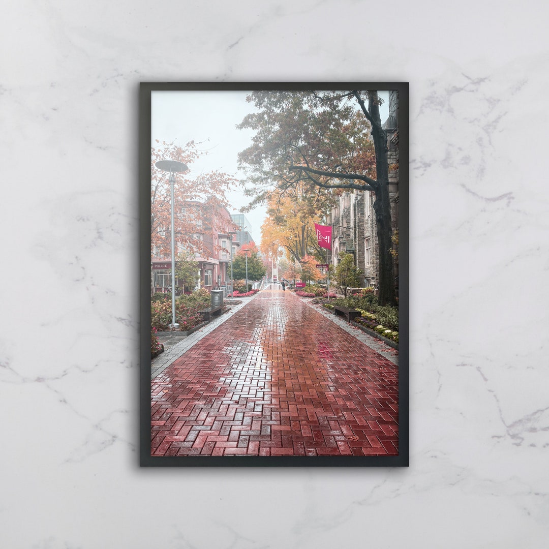 Temple University Wall Print, Polett Walk Autumn Poster, Philadelphia ...
