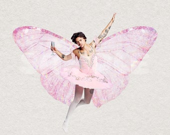 Harry Styles Tutu - Etsy Ireland