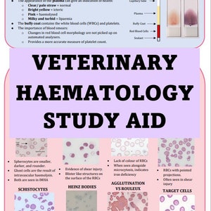 Veterinary Haematology Study Notes - Etsy