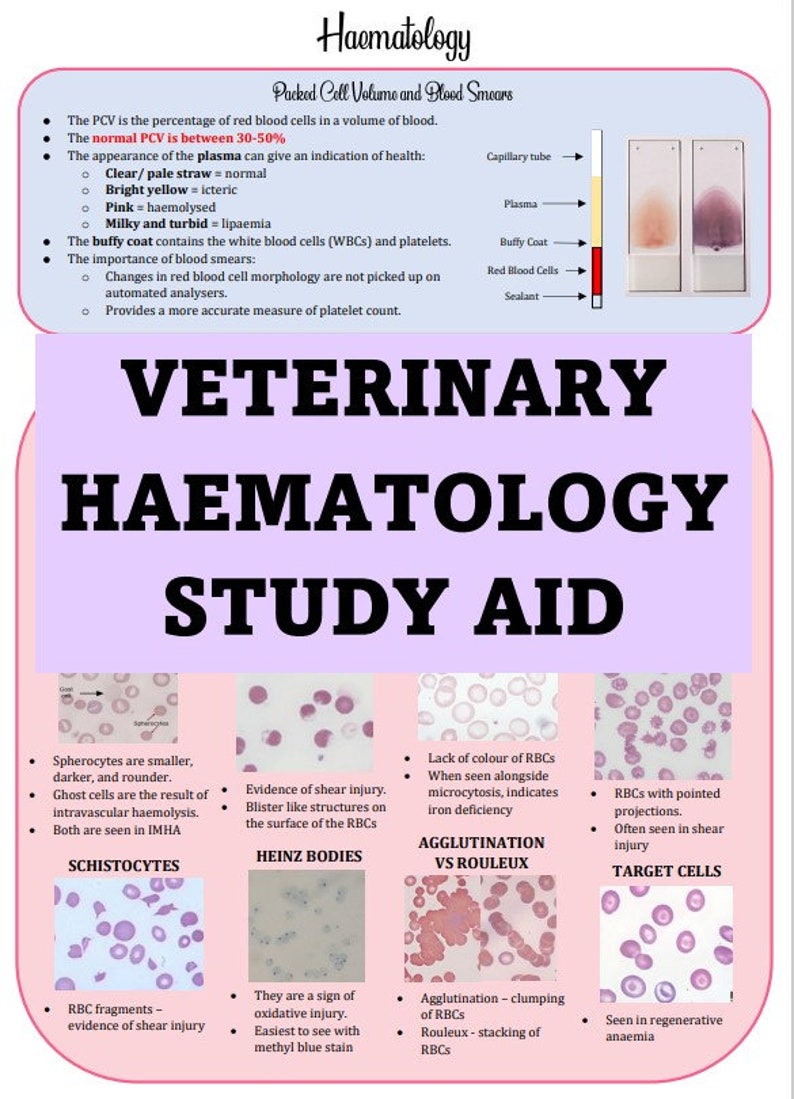 Veterinary Haematology Study Notes - Etsy