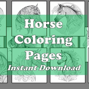 12 Pack Stress Relief Coloring Pages, Horse Digital Print, Detailed ...
