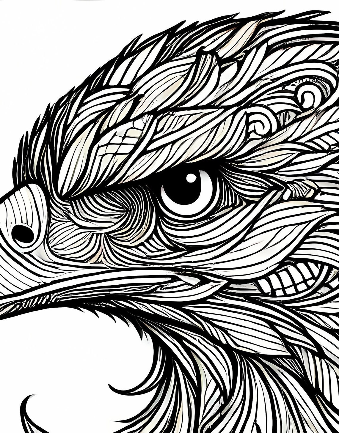 12 Pack Stress Relief Coloring Pages, Hawk Digital Print, Filigree ...