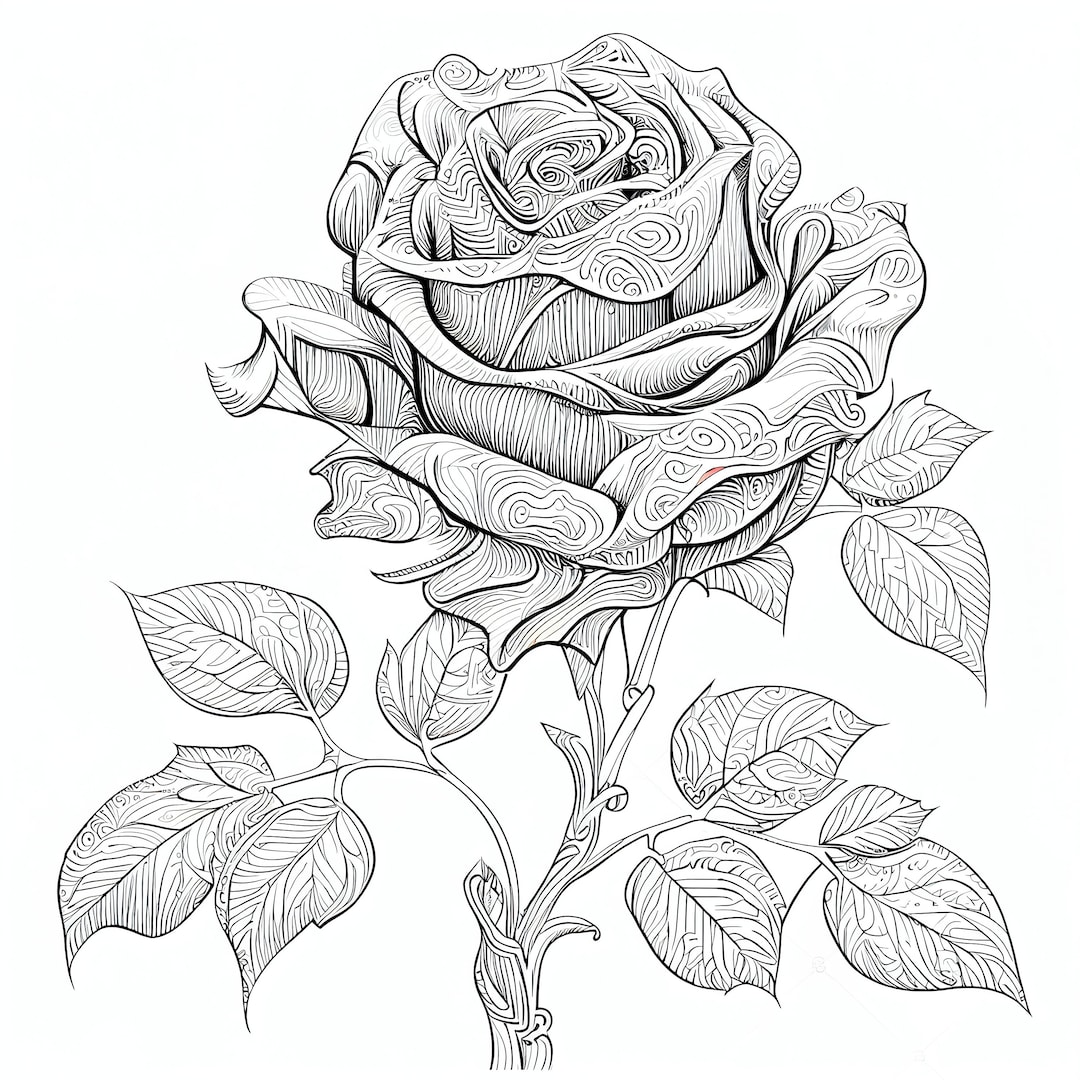 12 Pack Stress Relief Coloring Page, Roses Digital Print, Filigree ...