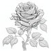 12 Pack Stress Relief Coloring Page, Roses Digital Print, Filigree ...