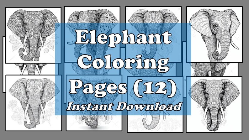 12 Pack Stress Relief Coloring Page, Elephant Digital Print, Filigree ...