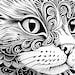 6 Pack Stress Relief Coloring Pages, Kitten Digital Print, Detailed ...