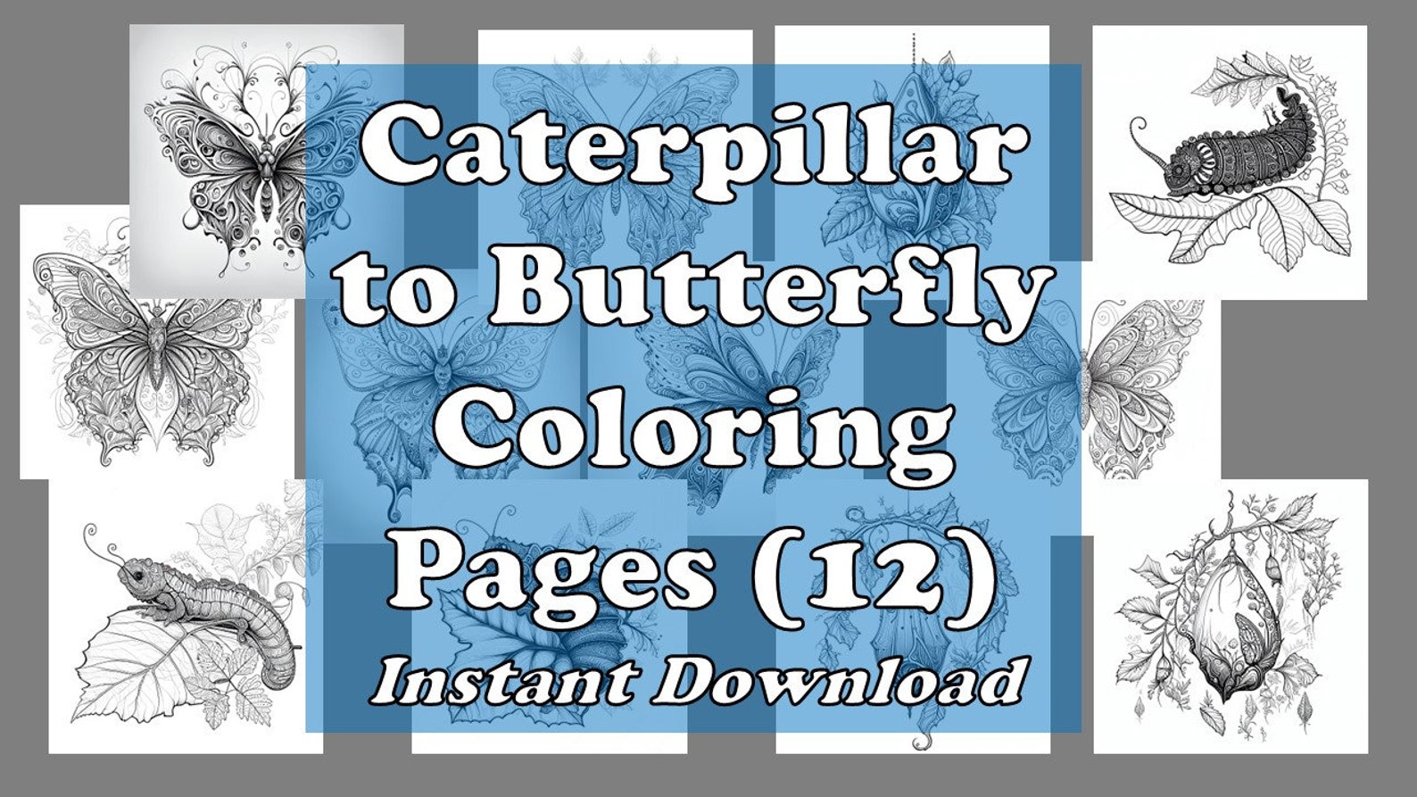 12 Pack Stress Relief Coloring Page, Caterpillar to Butterfly Digital ...
