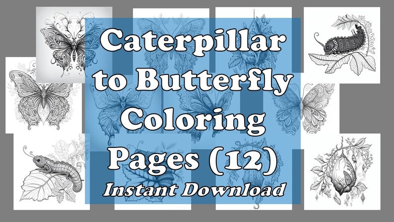 12 Pack Stress Relief Coloring Page, Caterpillar to Butterfly Digital ...