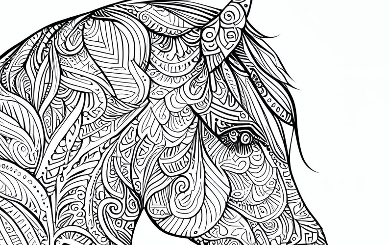 12 Pack Stress Relief Coloring Pages, Horse Digital Print, Detailed ...
