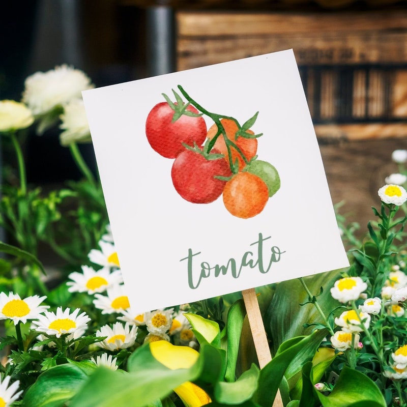 Vegetable Labels - Etsy