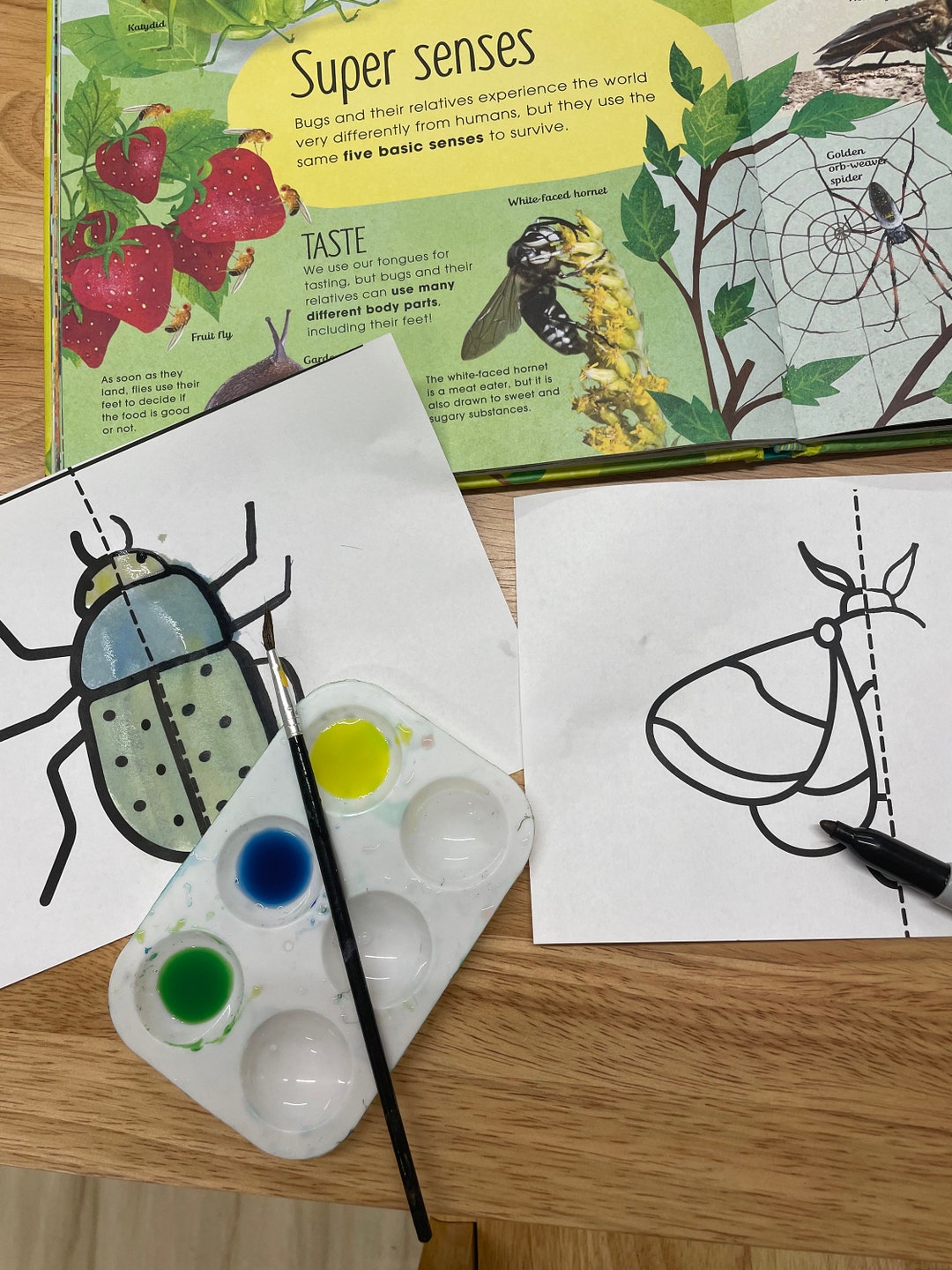 Insect Symmetry - Etsy