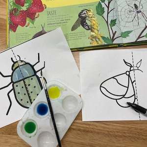 Insect Symmetry - Etsy