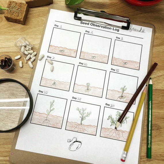 Seed Observation Log Digital Download english and Spanish | Etsy