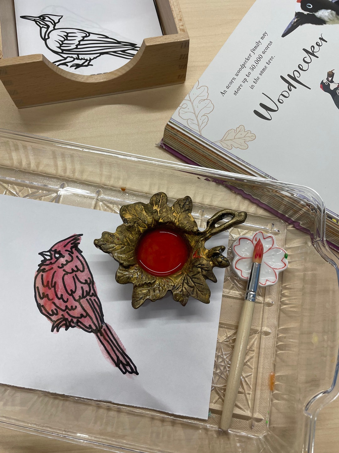 North American Bird Tracing - Etsy