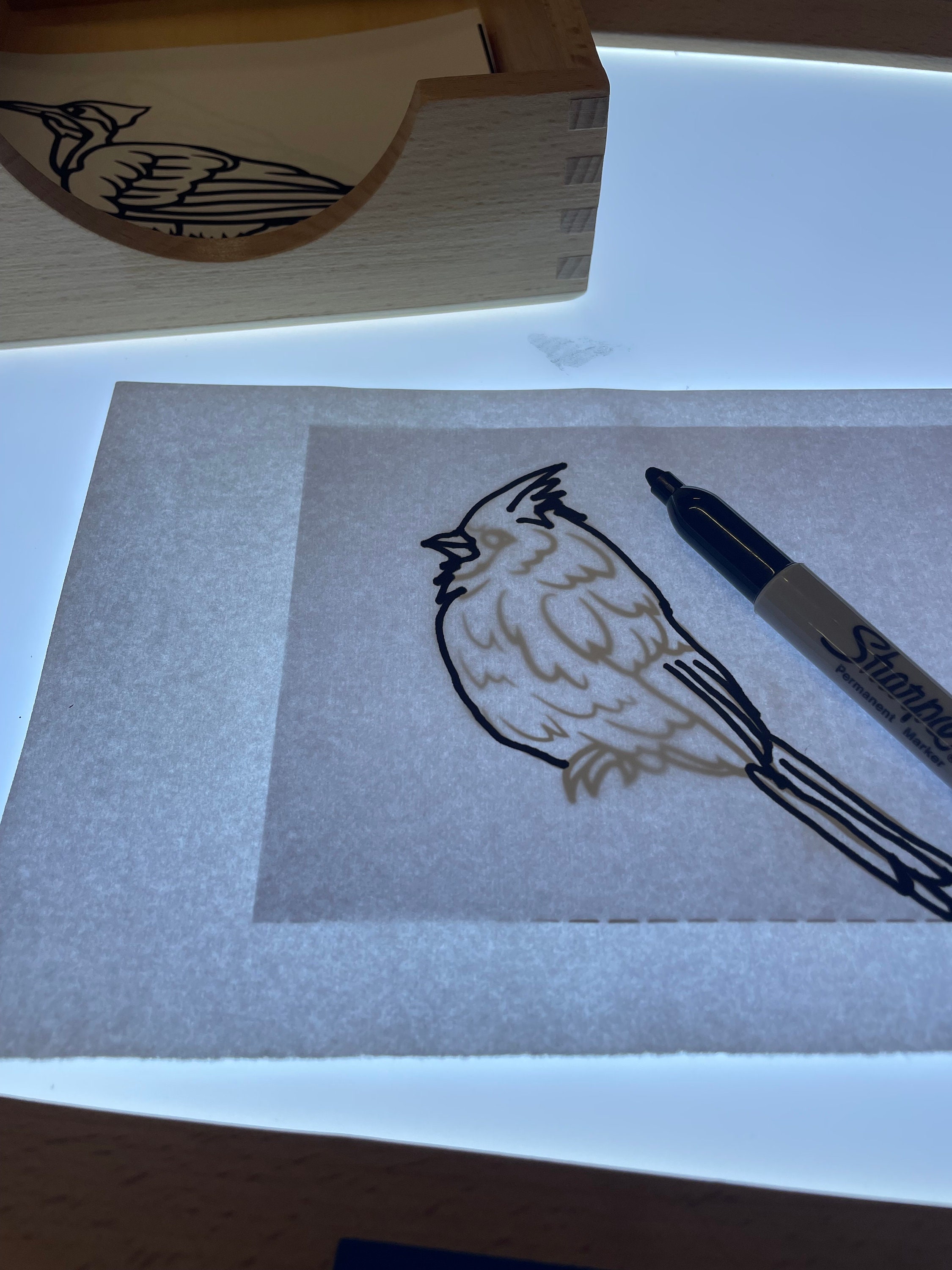 North American Bird Tracing - Etsy