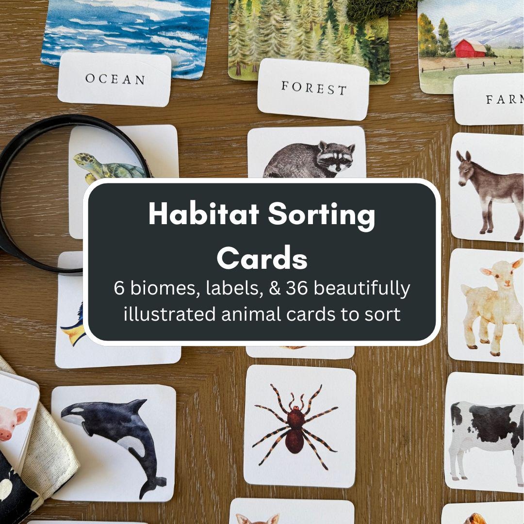 Habitat Sorting Cards - Etsy