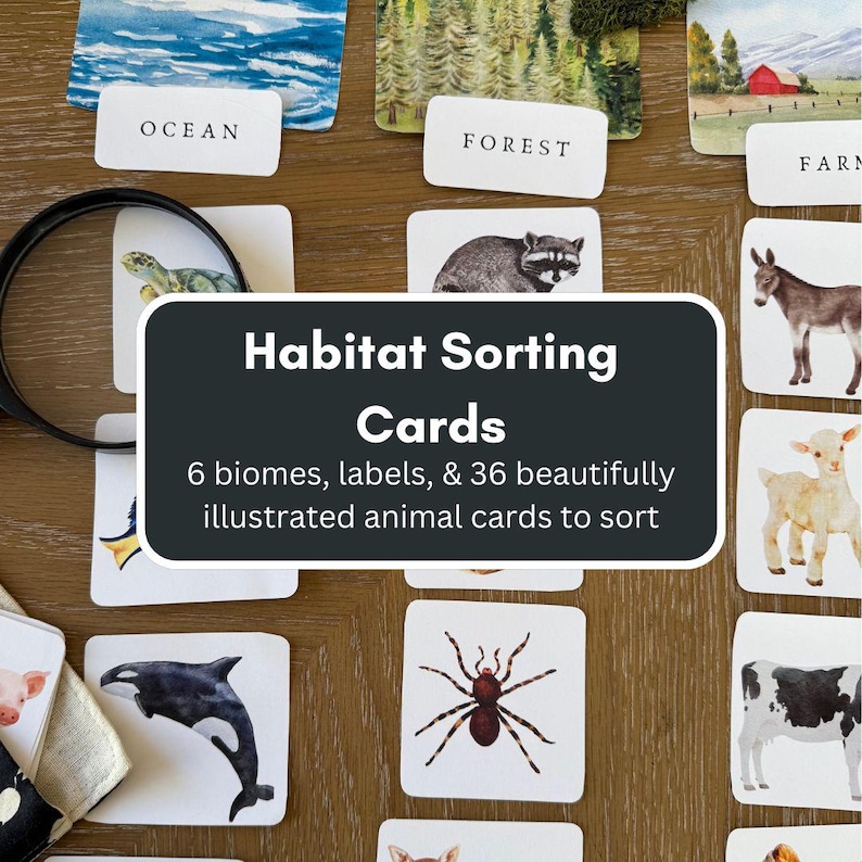 Habitat Sorting Cards - Etsy
