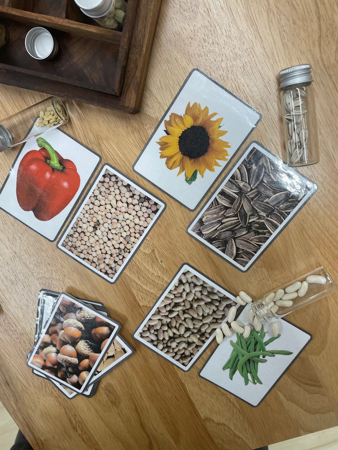 Seed & Plant Matching Cards - Etsy