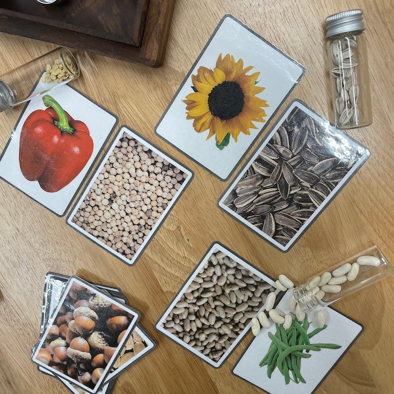 Gardening Card Game - Etsy