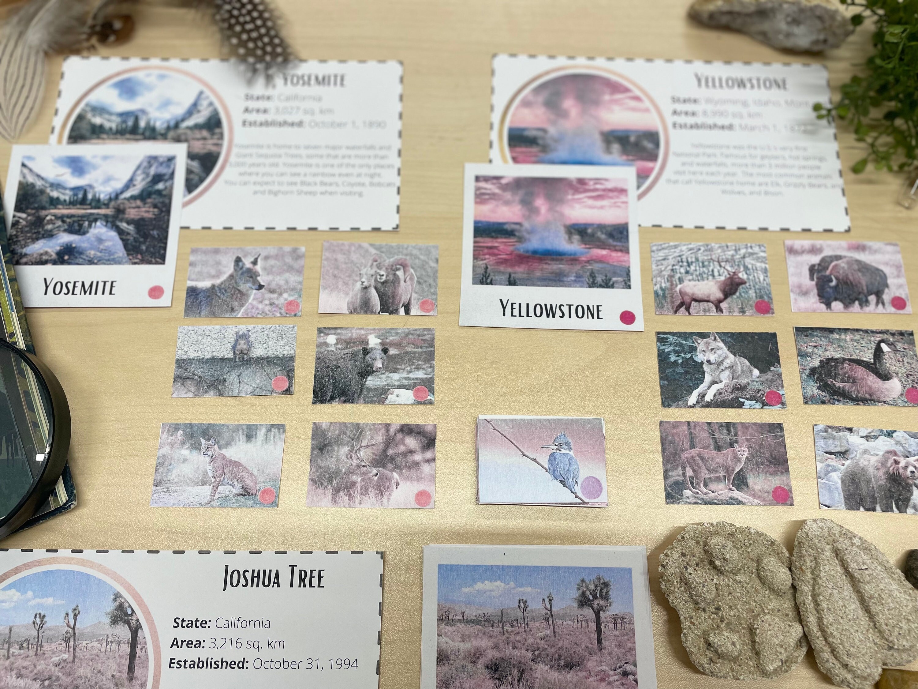 U.S. National Parks Learning Pack - Etsy