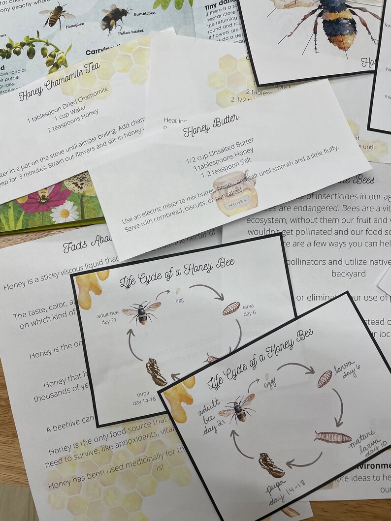 Mini Honey Bee Learning Pack - Etsy
