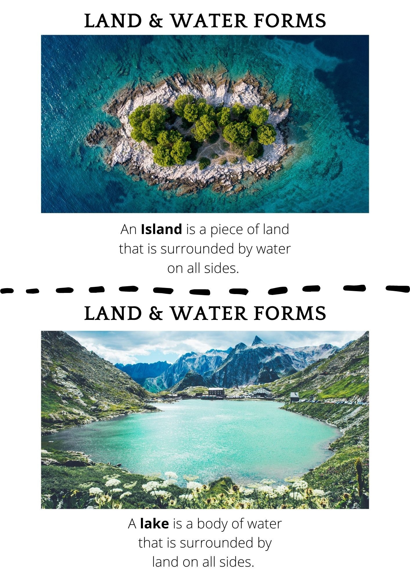 The Little Island Book Study Lobster Anatomy Land and Water Forms ...