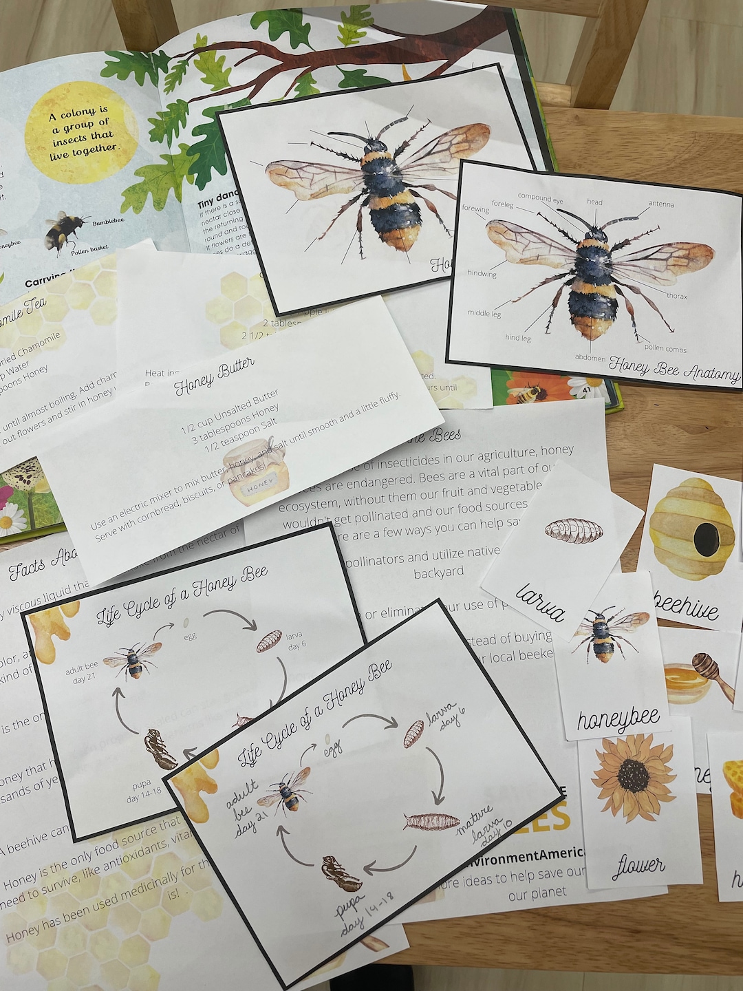 Mini Honey Bee Learning Pack - Etsy