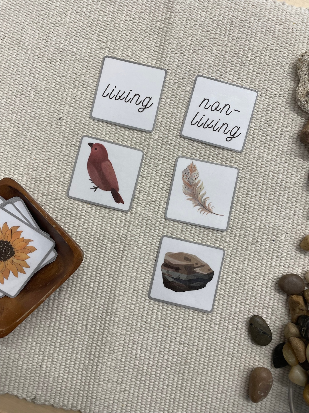 Living Vs. Non-living Sorting Cards Printable - Etsy