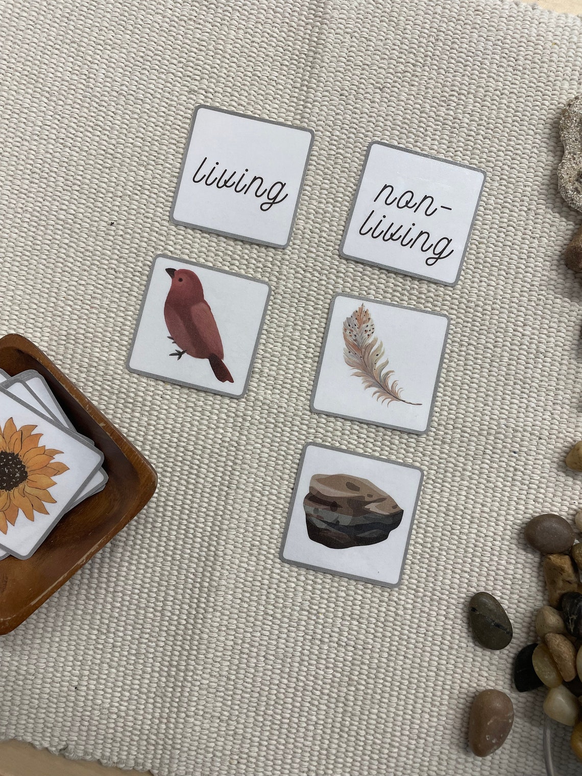 Living Vs. Non-living Sorting Cards Printable - Etsy Canada