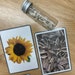 Seed & Plant Matching Cards - Etsy