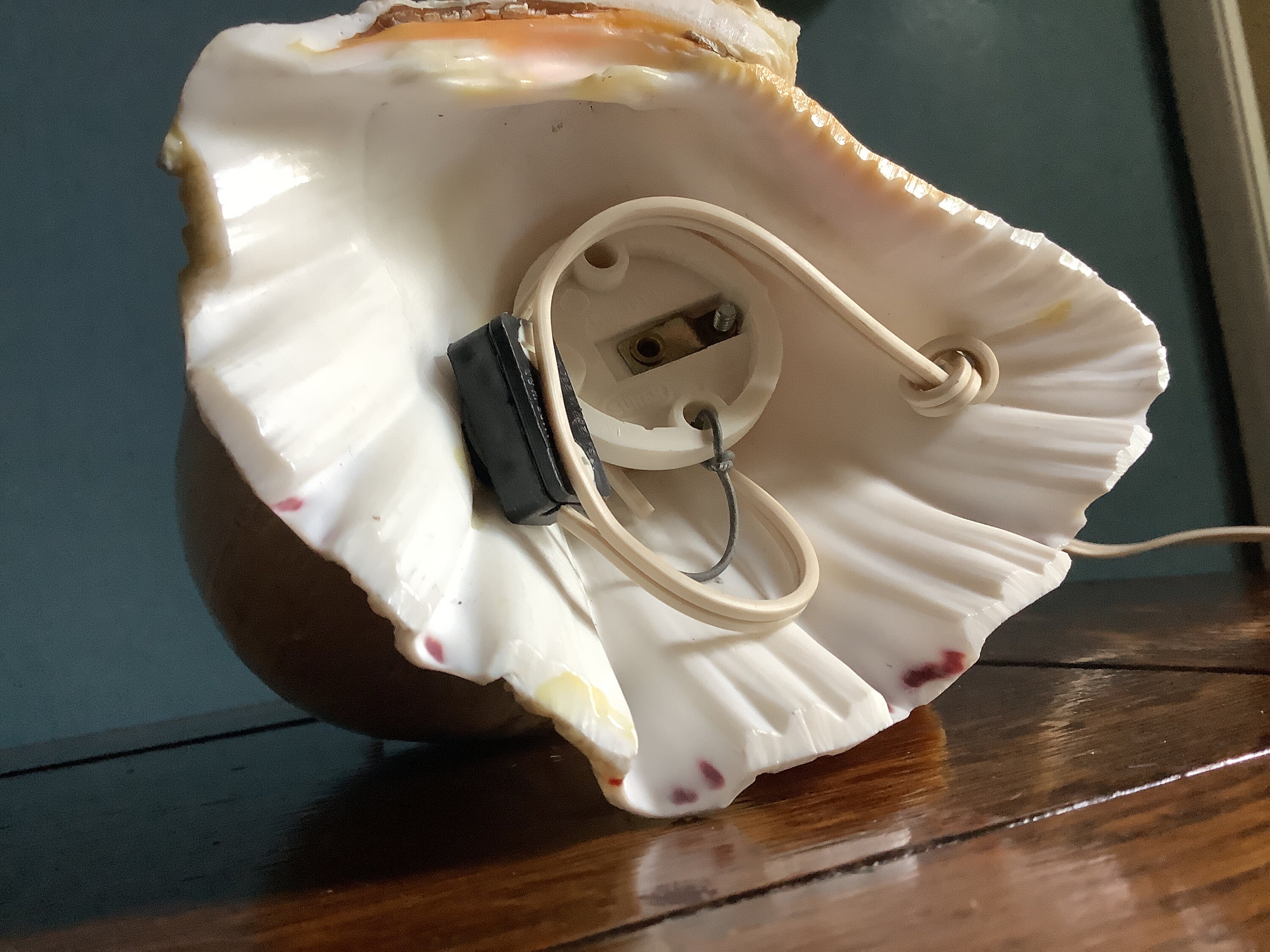 Vintage Shell Lamp - Etsy