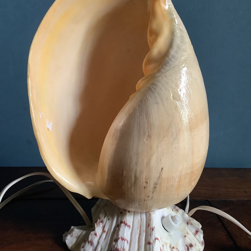 Shell Lamp - Etsy