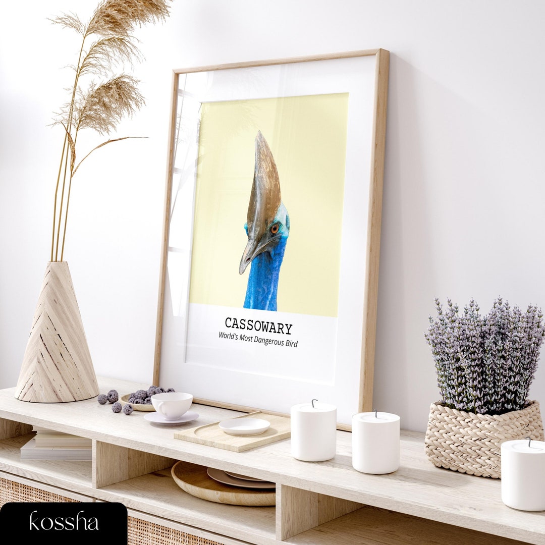 Cassowary Art Print, Australian Bird, Danish Pastel Wall Decor ...