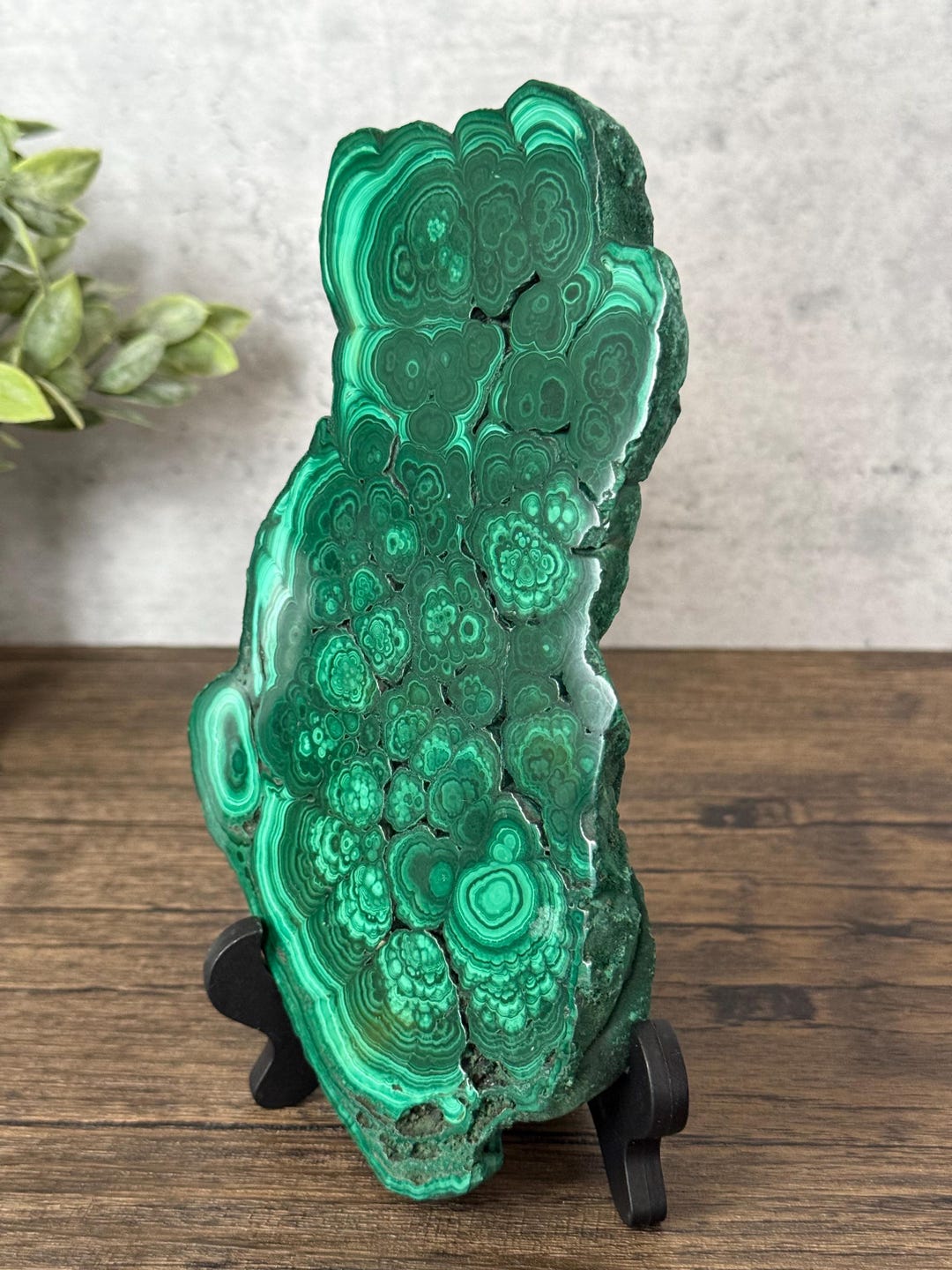 Natural Malachite Slab With Plastic Stand Vibrant Green Swirls for ...