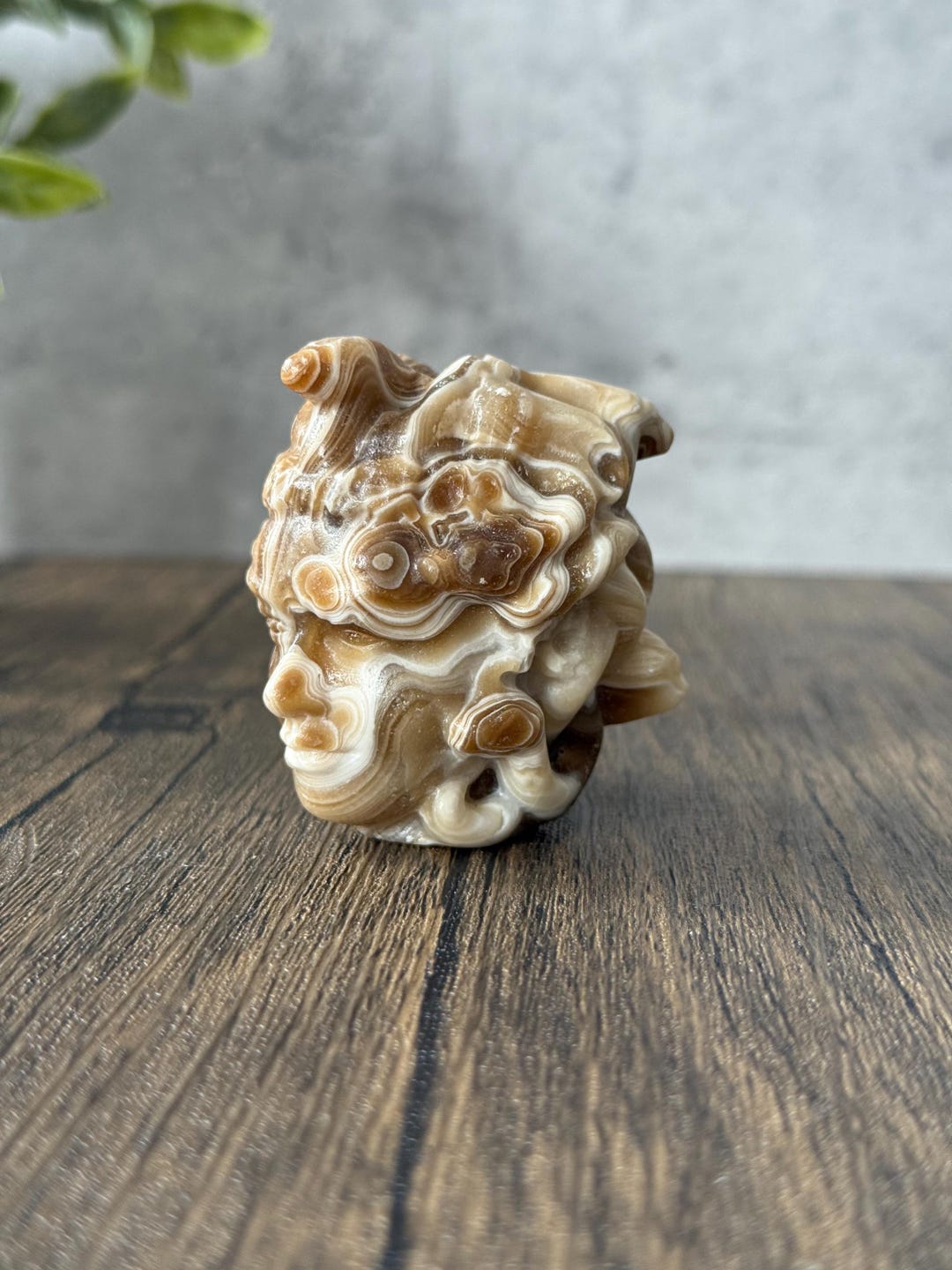 Chocolate Calcite Medusa Head Carving | Grounding & Transformational ...