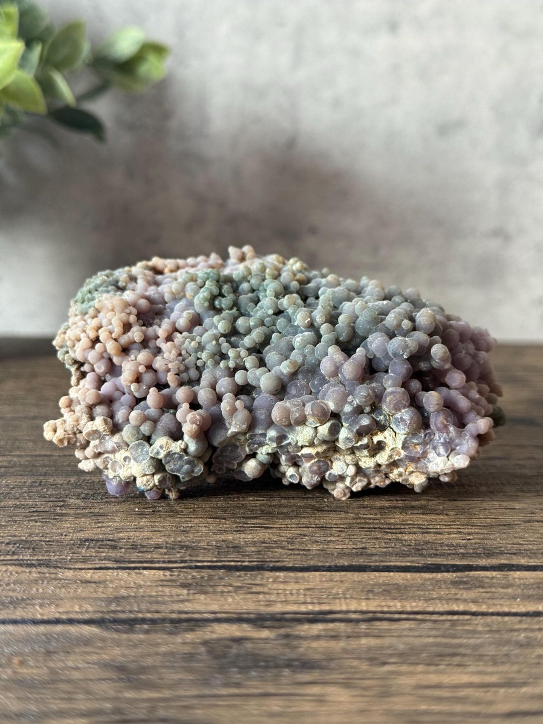 Grape Agate Specimen | Botryoidal Chalcedony | Calming & Intuitive ...