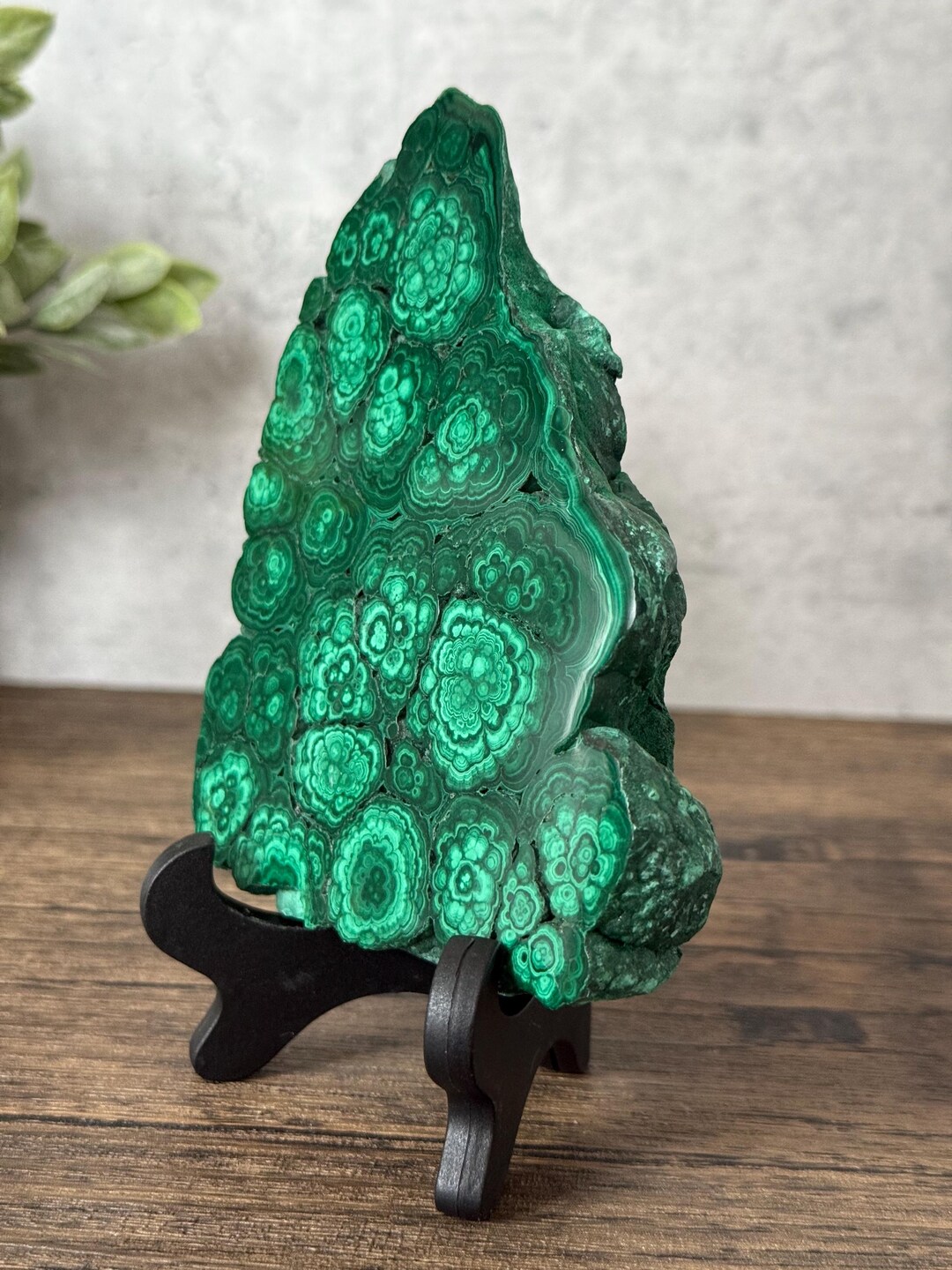 Stunning Natural Malachite Slab With Plastic Stand Unique Green ...