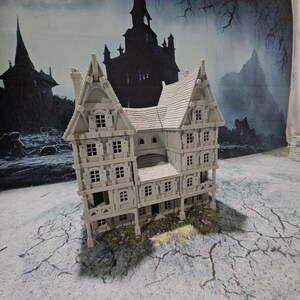 Vladistov, Tavern, Vampire Town, DND Terrain. Strahd - Etsy