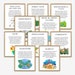 Ecological Concepts Posters, High School Science, Science Classroom ...