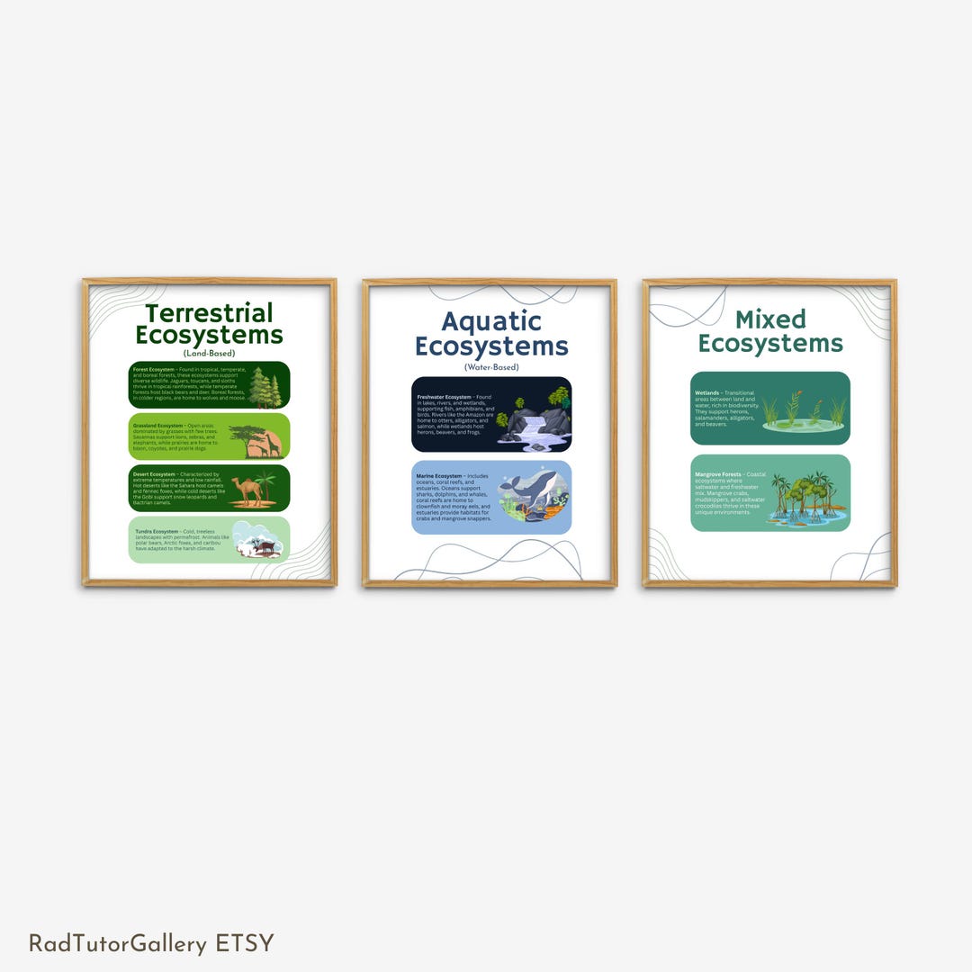 Types of Ecosystem Prints, Ecology Posters, High School Science ...