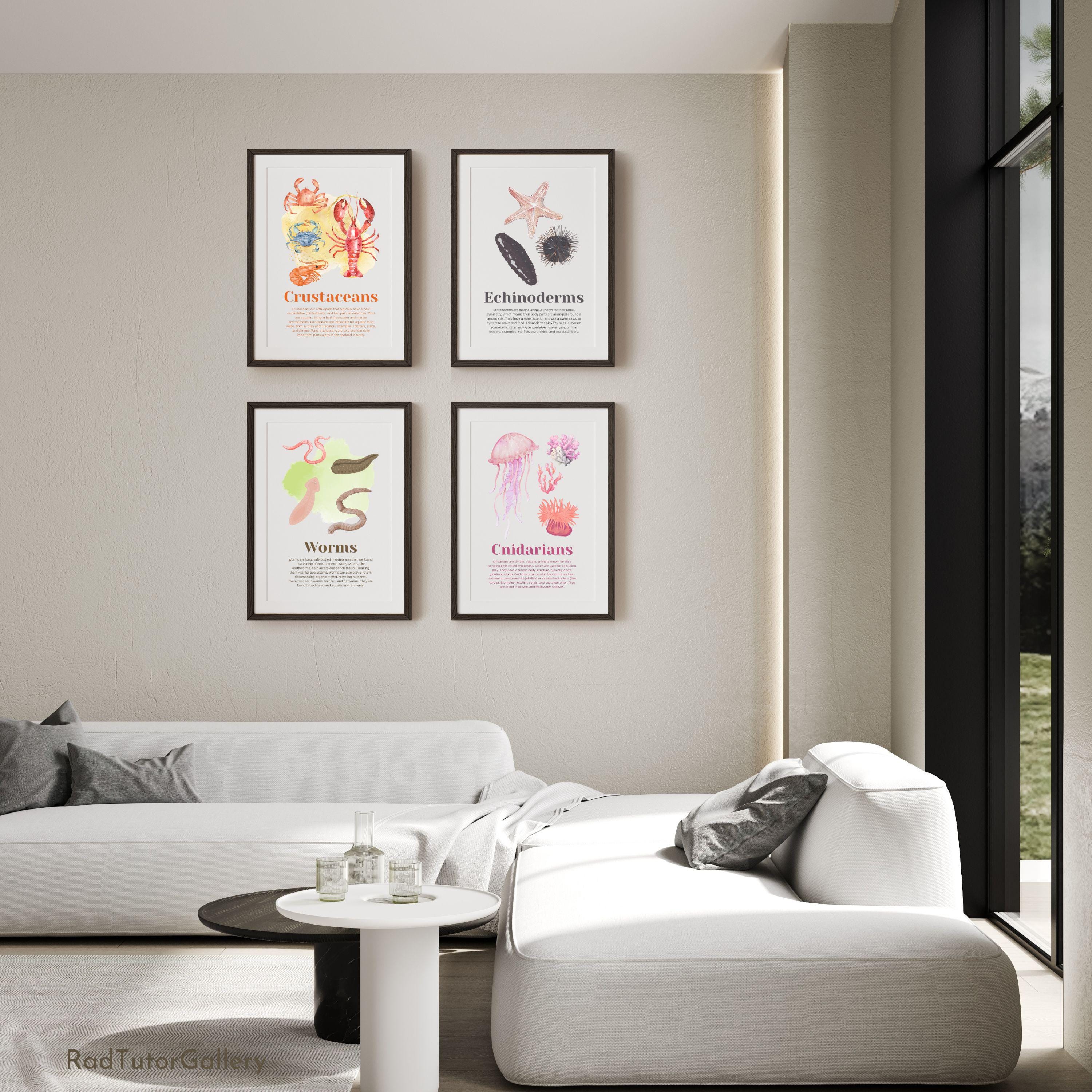 Animal Kingdom Posters, Animals Ecology Posters, High School Science ...