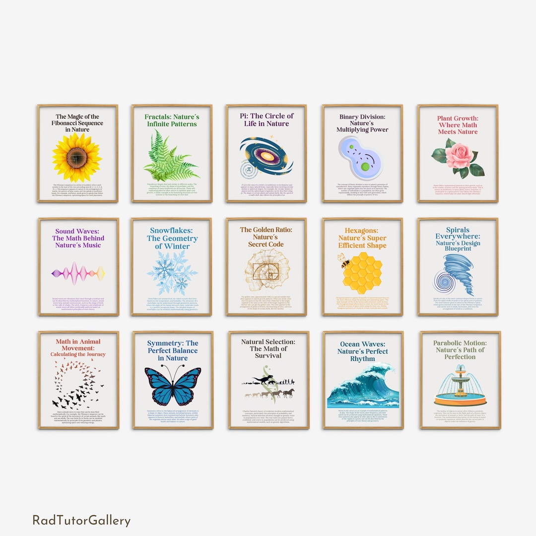 Math in Nature Posters, Math in Real Life Classroom Poster, Mathematics ...