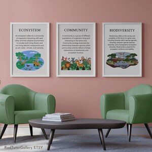 Ecological Concepts Posters, High School Science, Science Classroom ...