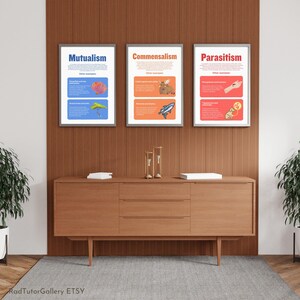 Symbiosis Posters, Middle High School Science Classroom Decor ...