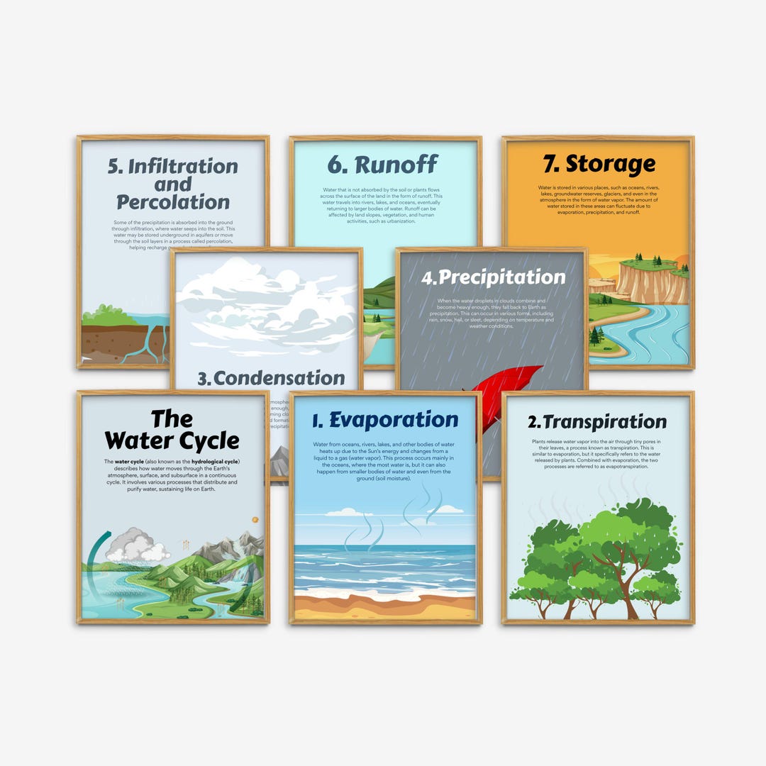 Water Cycle Prints, Ecology Posters, Middle High School Science ...